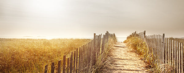 Shop Women's Raincoats & Waterproof Jackets | Lighthouse